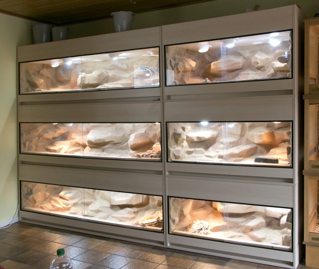Dreistöckige Terrarienwand - ein optisches Highlight